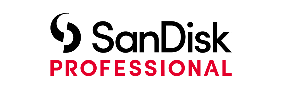 File:SanDisk Professional logo.svg - Wikipedia