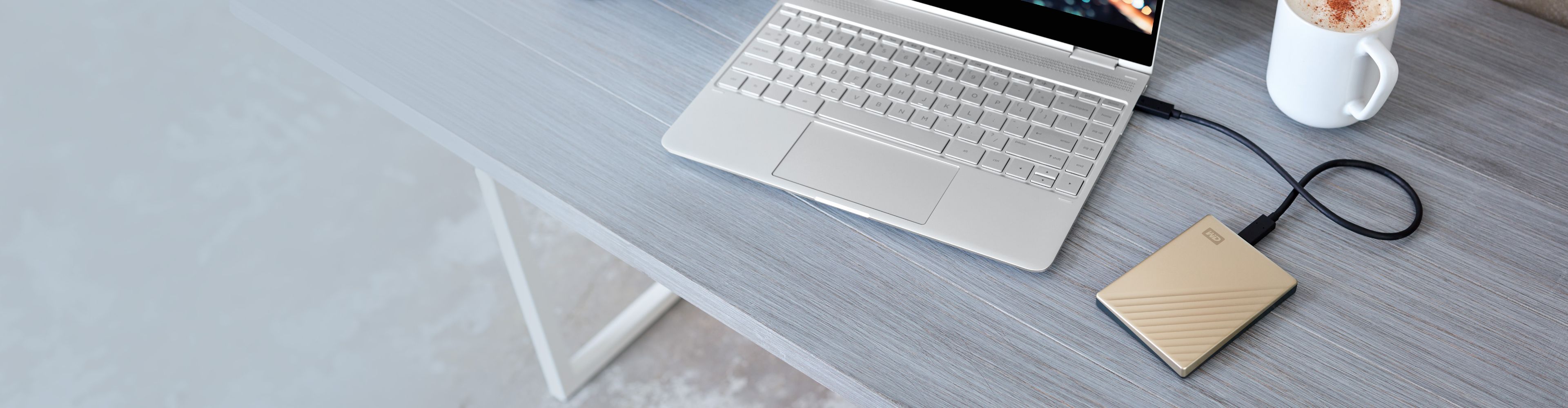 Easy Data Backup Storage with SSD and HDD Options | Sandisk