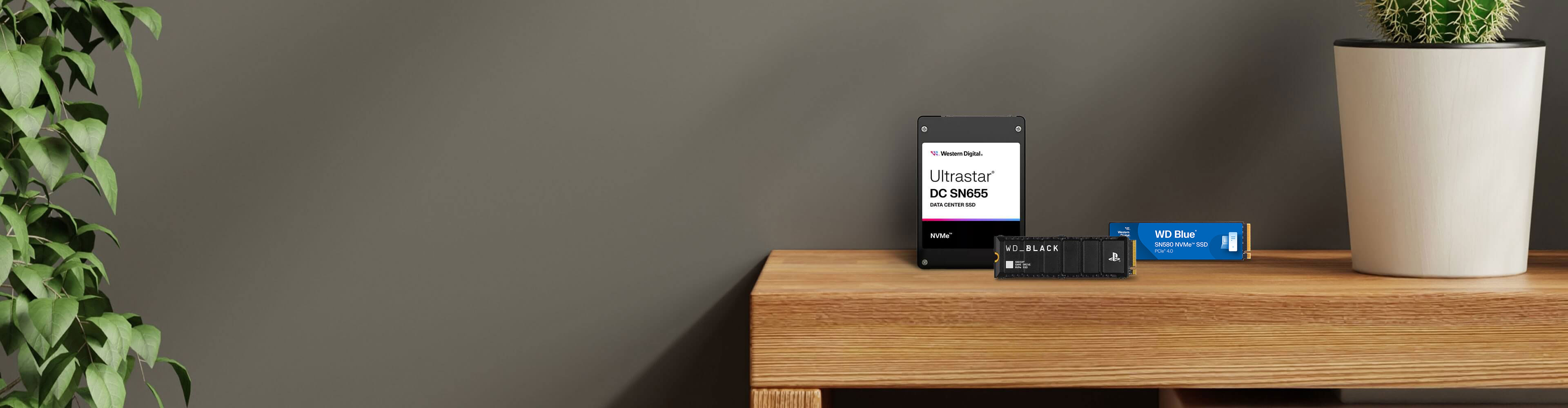 Compare Internal SSDs | Sandisk